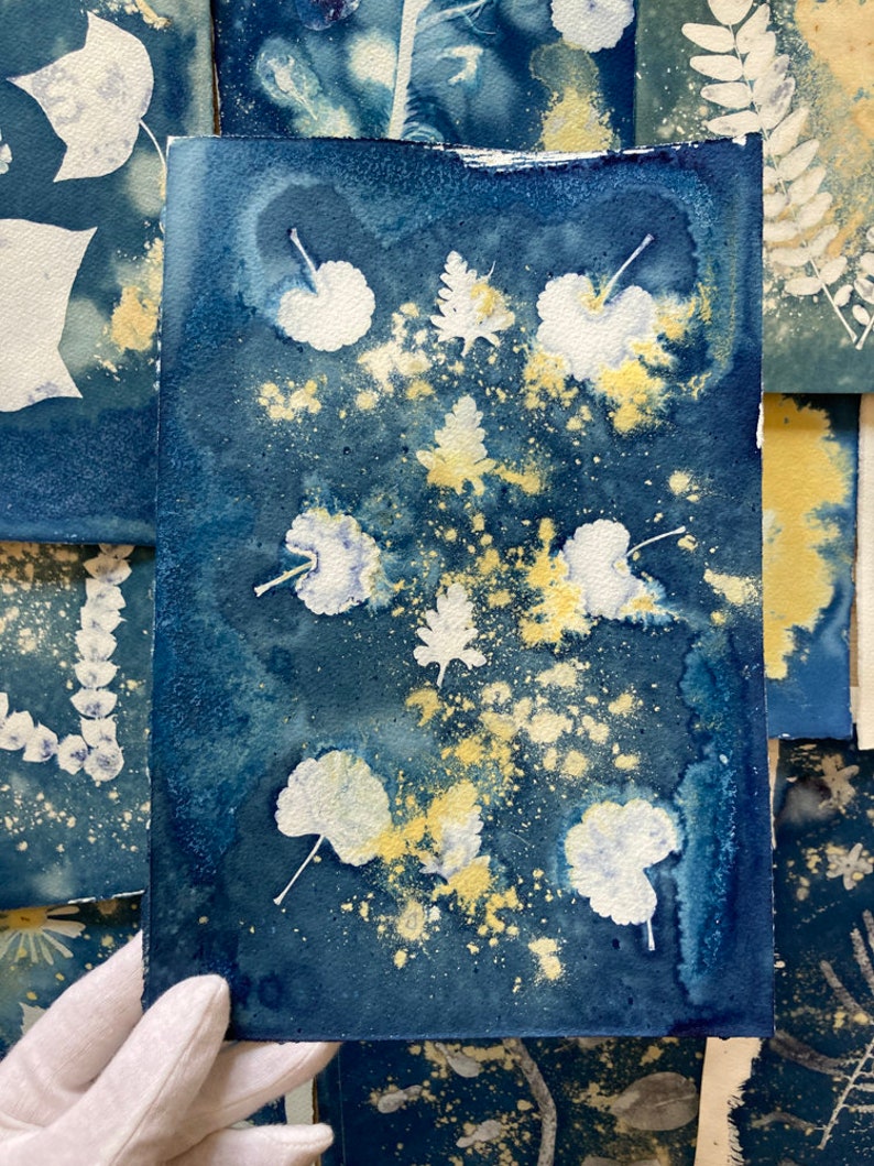 Handmade Wet Cyanotype Print: Paprika Botanical Art - Etsy