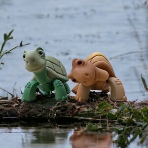 3D Printed Tortoise - Etsy