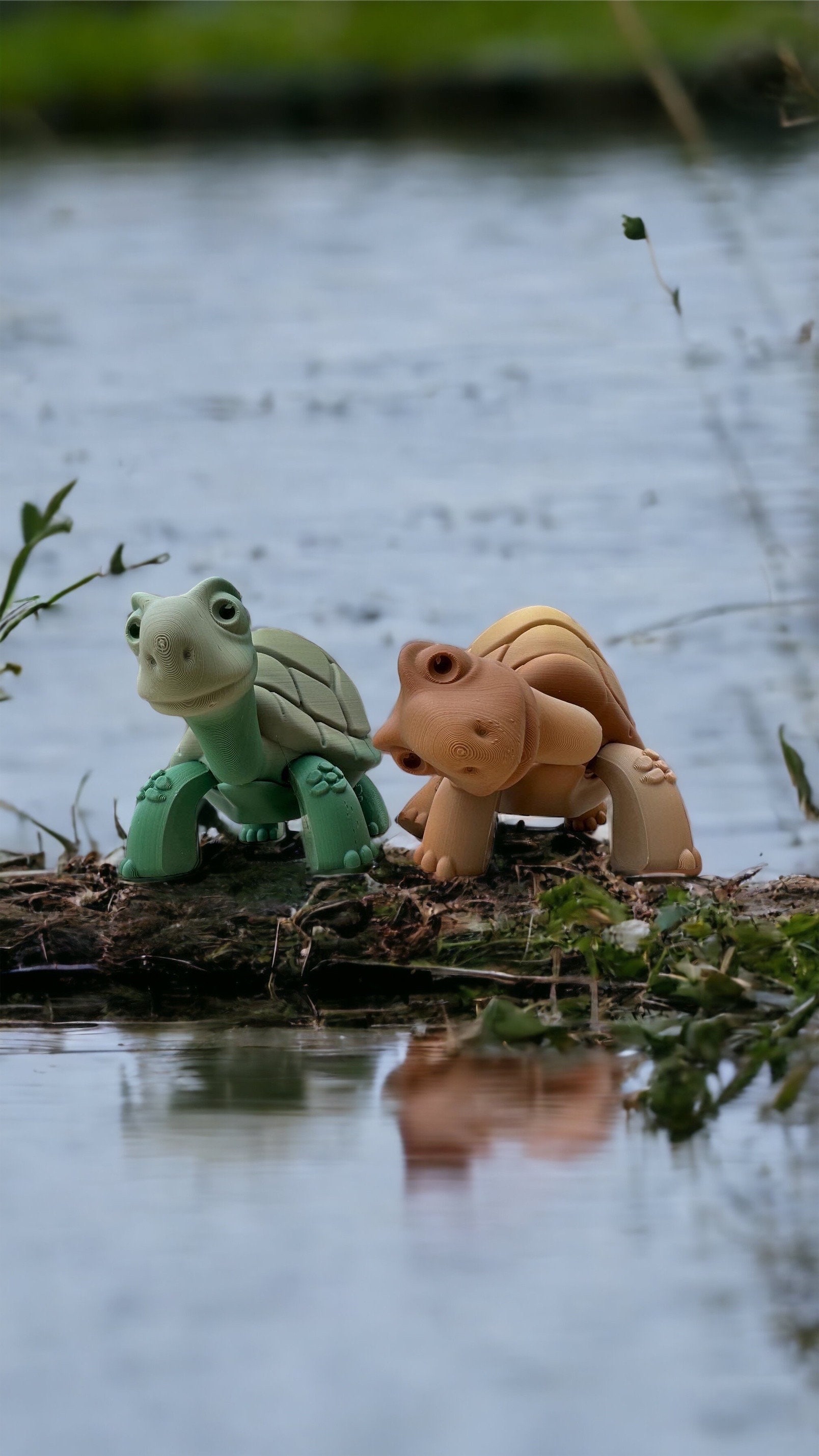 3D Printed Tortoise - Etsy