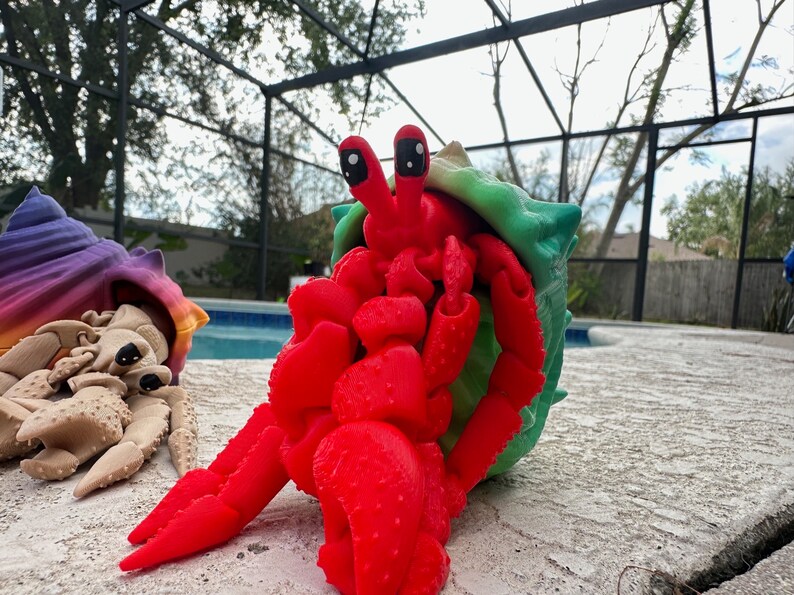 Hermit Crab / 3D Printed Hermit Crab - Etsy
