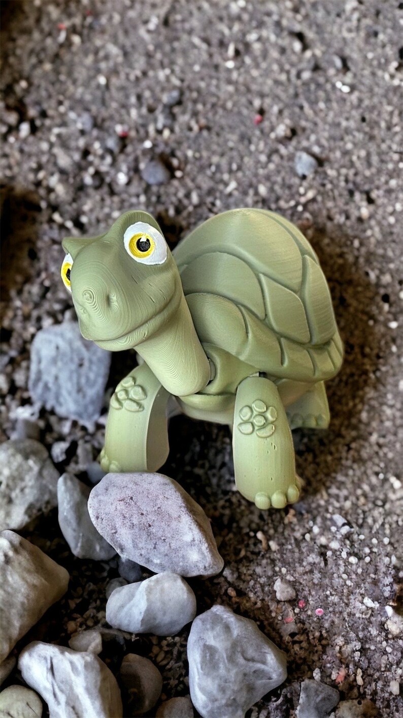 3D Printed Tortoise - Etsy