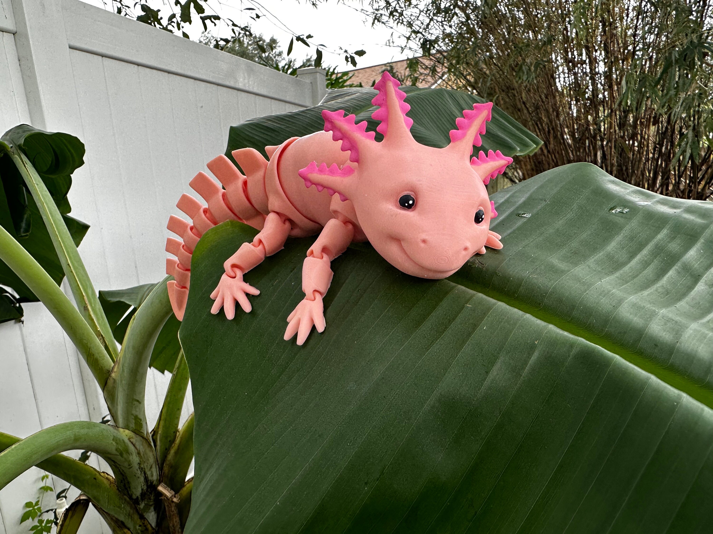 3-D Printed Axolotl - Etsy