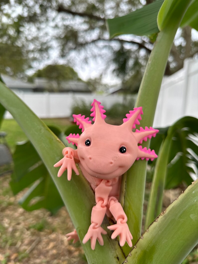 3-D Printed Axolotl - Etsy