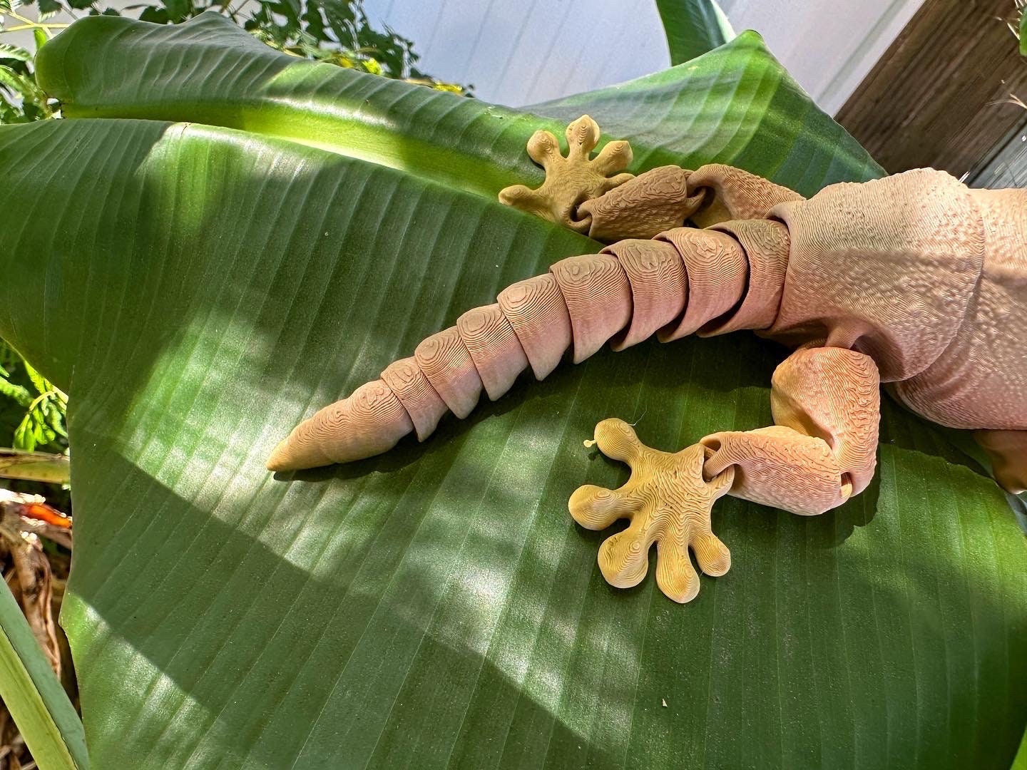 Crested Gecko / 3D Printed Gecko - Etsy