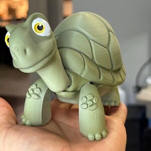 3D Printed Tortoise - Etsy