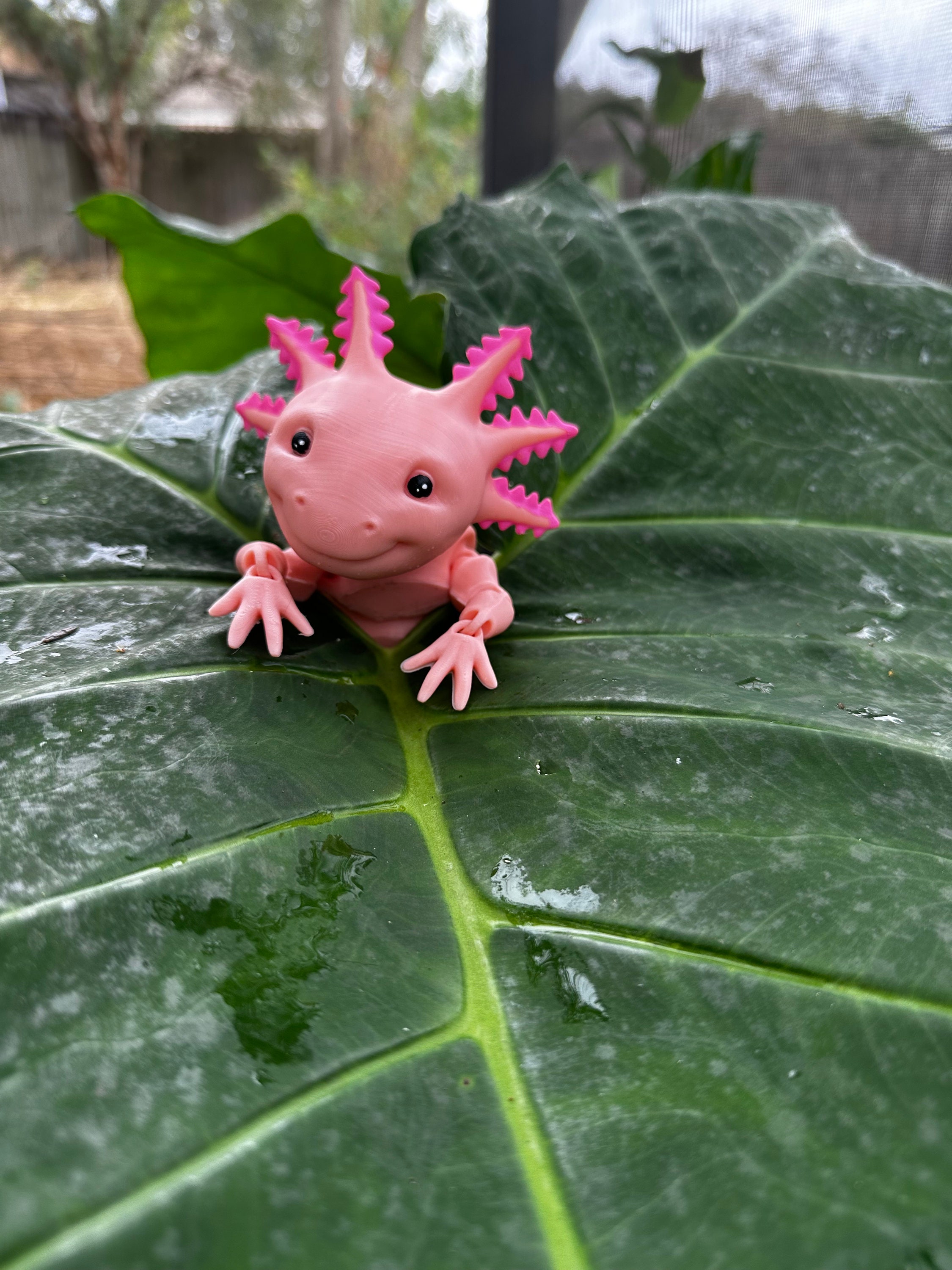 3-D Printed Axolotl - Etsy