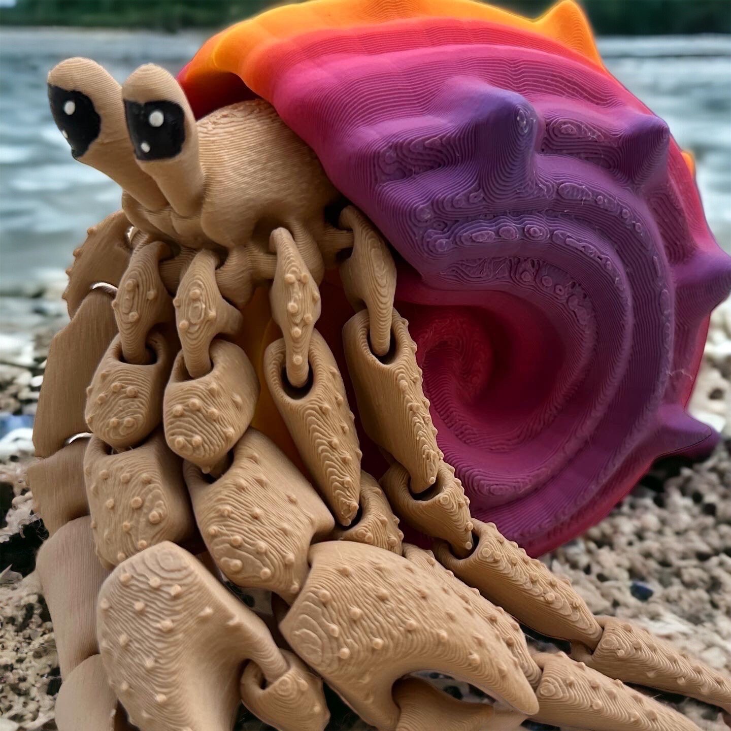Hermit Crab / 3D Printed Hermit Crab - Etsy