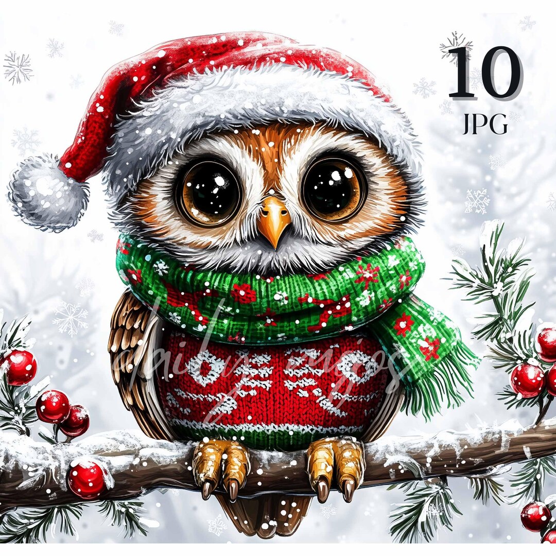 Unique Christmas Cozy Owl Clipart Set, Cute Holiday Owl JPG Digital ...