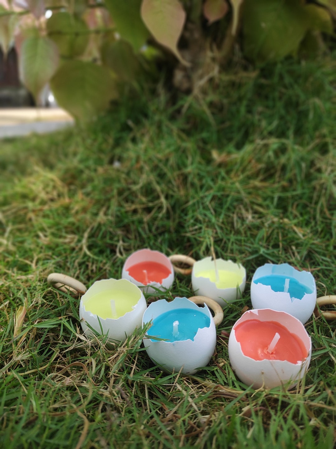 White Real Egg Shell Candles With Wooden Ring Stands Set of 6 - Etsy