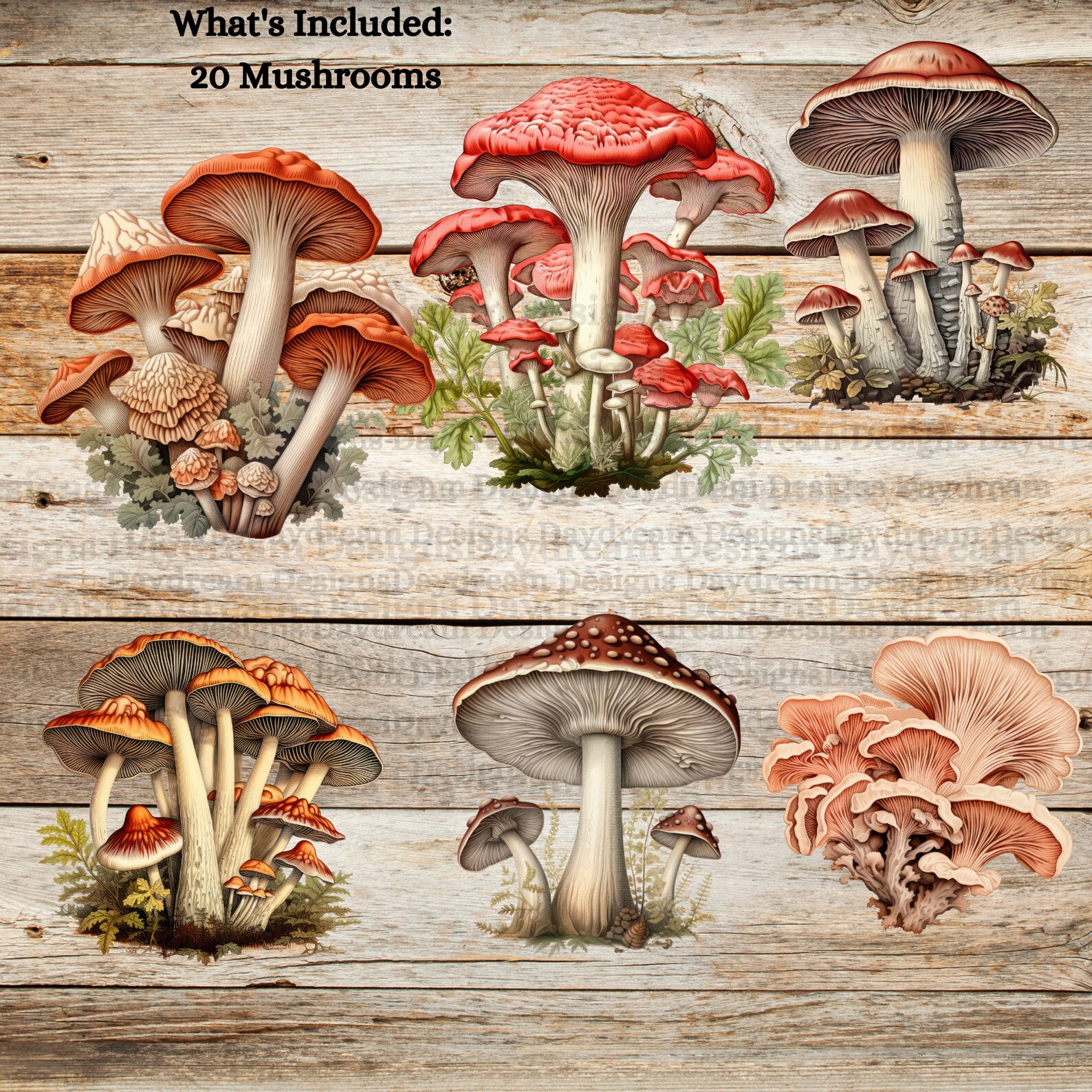 Vintage Mushroom Art, Retro Mushroom Clipart, 20 Colorful Clipart With ...