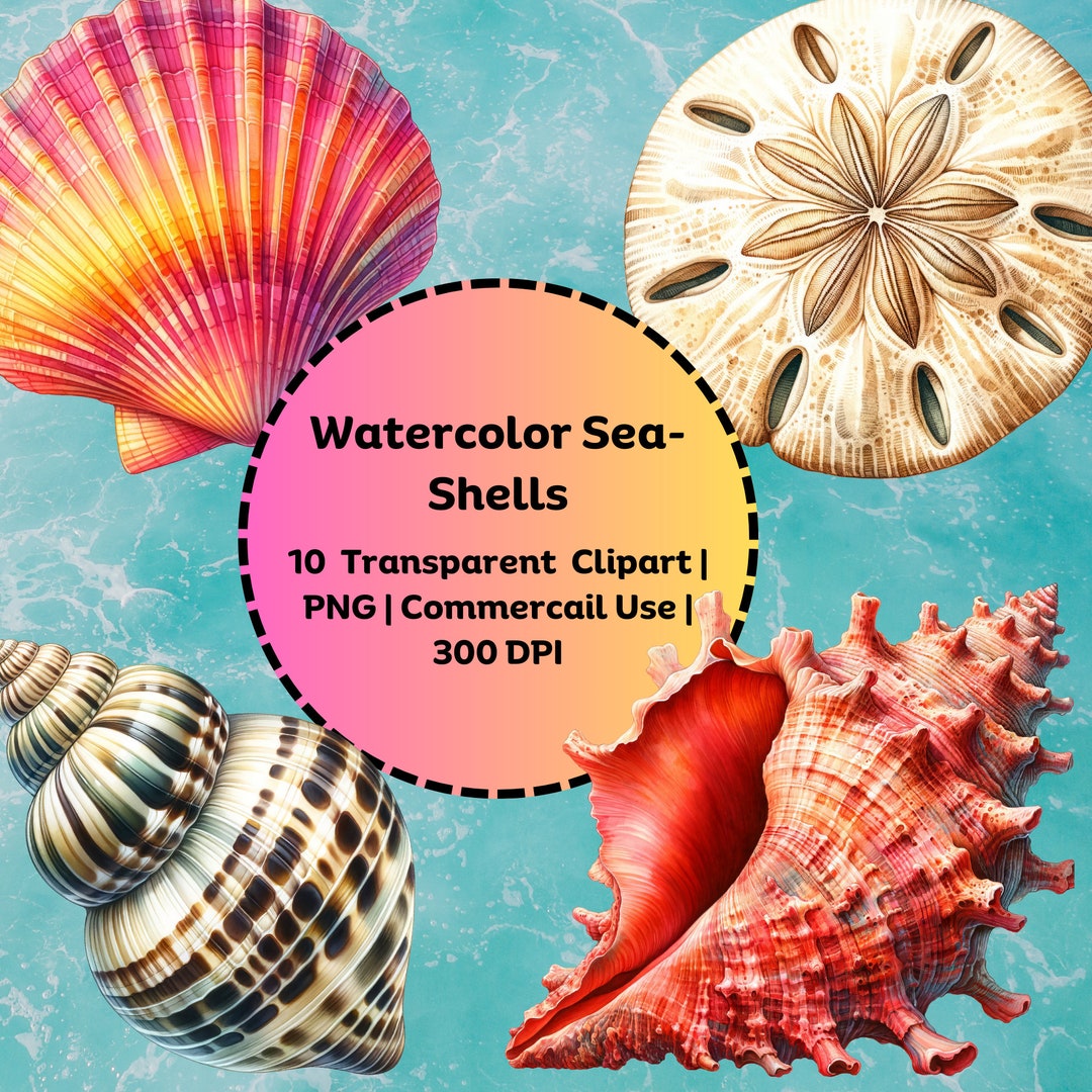 Watercolor Seashell Clipart Collection | 10 PNG Transparent Clipart ...