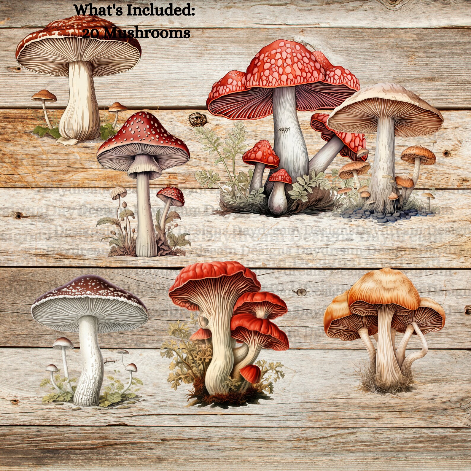 Vintage Mushroom Art, Retro Mushroom Clipart, 20 Colorful Clipart With ...