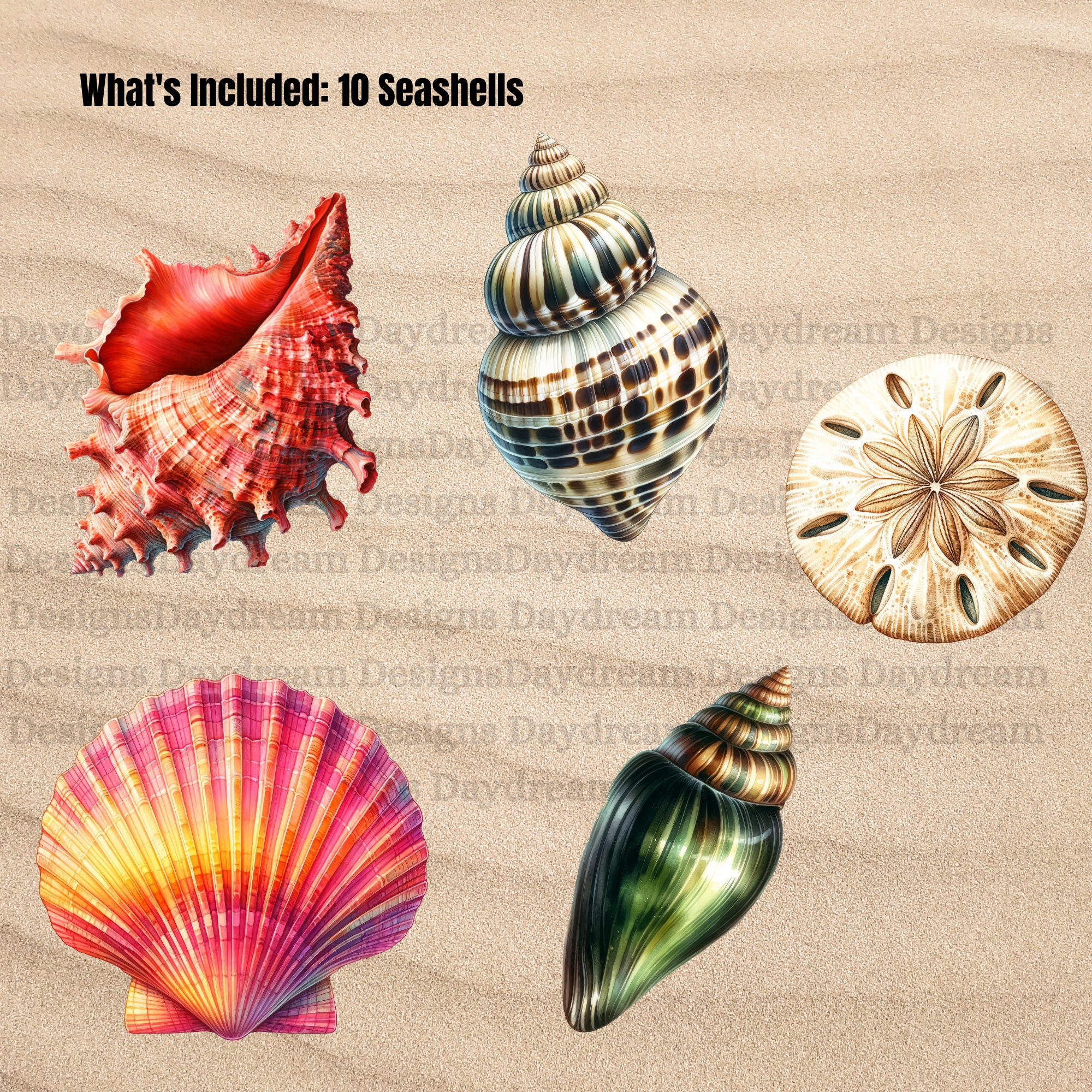 Watercolor Seashell Clipart Collection | 10 PNG Transparent Clipart ...