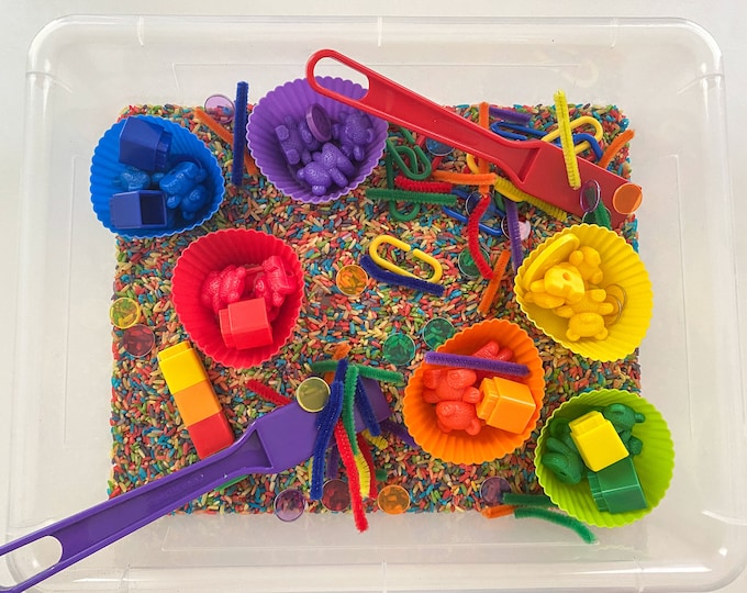 Color Sorting / Matching Sensory Bin for Toddlers - Etsy Canada