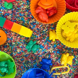 Color Sorting Sensory Bin, Color Sorting, Sensory Bin, Sensory Play - Etsy