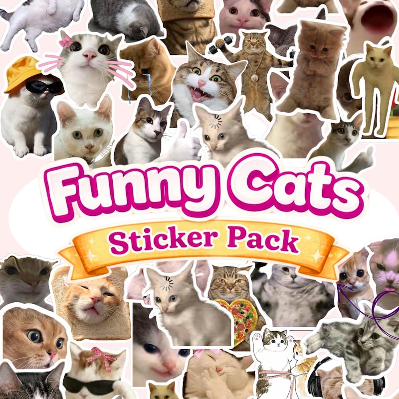 Funny cat sticker meme - Etsy.de