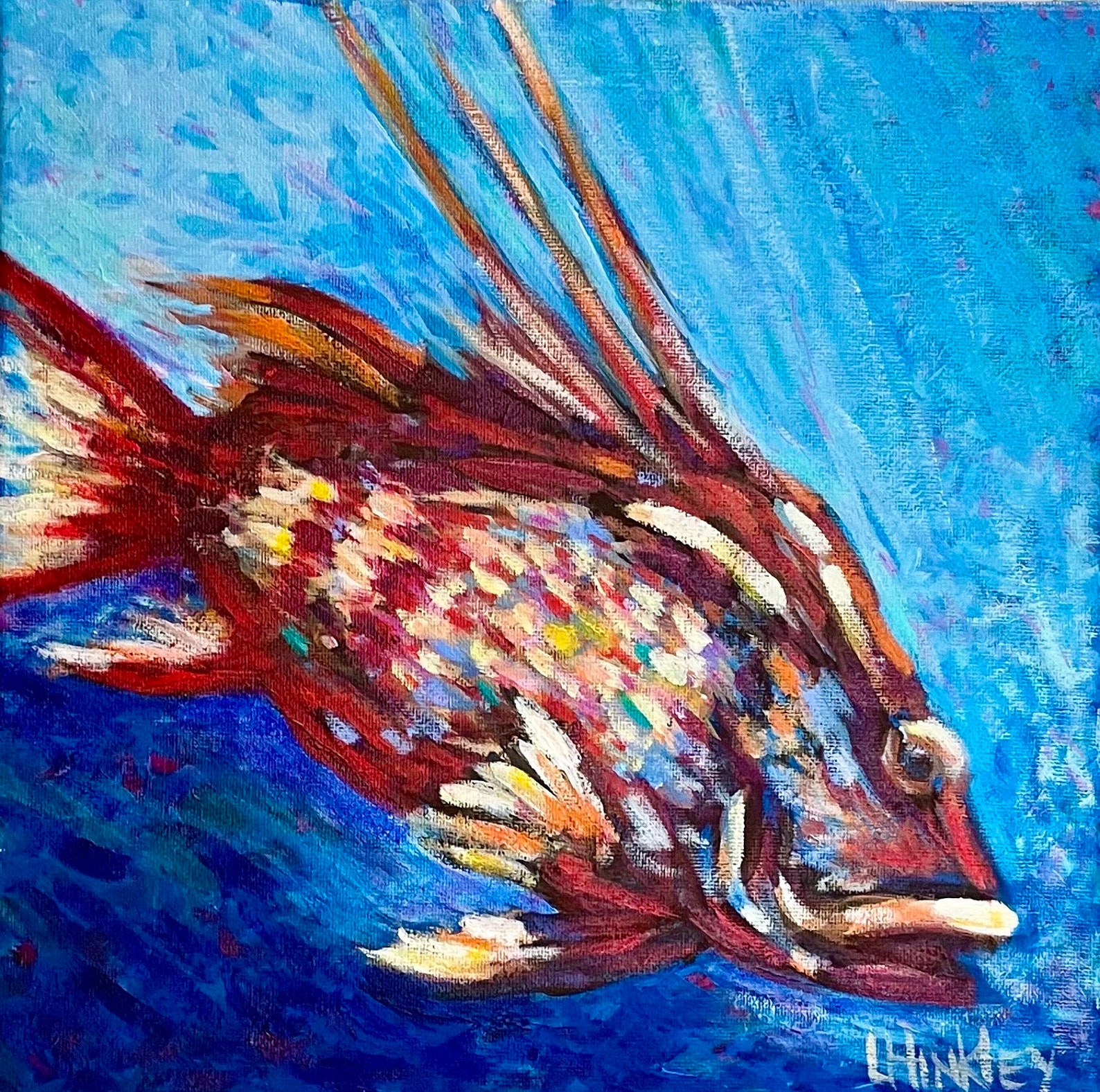 Key West Hog Fish Matted Print From Original Art by Lisa Hinkley - Etsy
