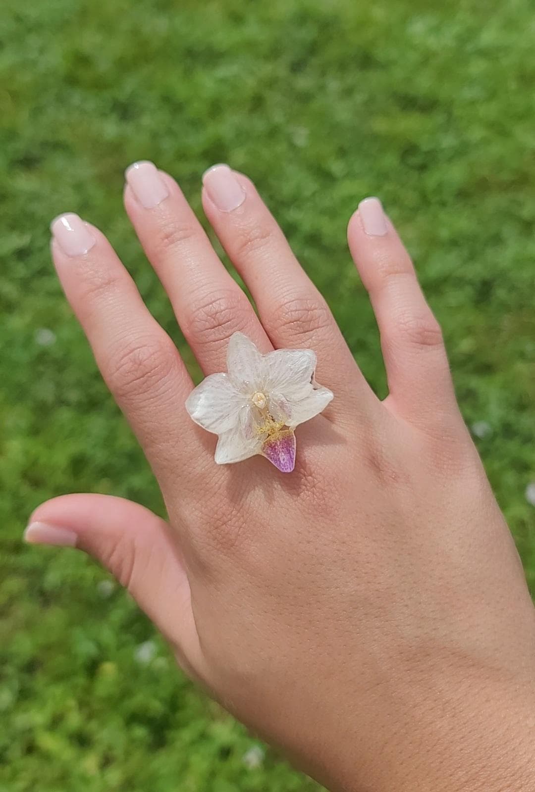 Real Orchid Flower Ring| Gold Stainless Steel |adjustable| Preserved ...