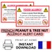 Printable Spanish Sesame Food Allergy Card • Instant Download • Medical Alert ID • Travel Gift ...