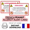 Printable Spanish Peanut Food Allergy Card • Instant Download • Medical Alert ID • Travel Gift ...