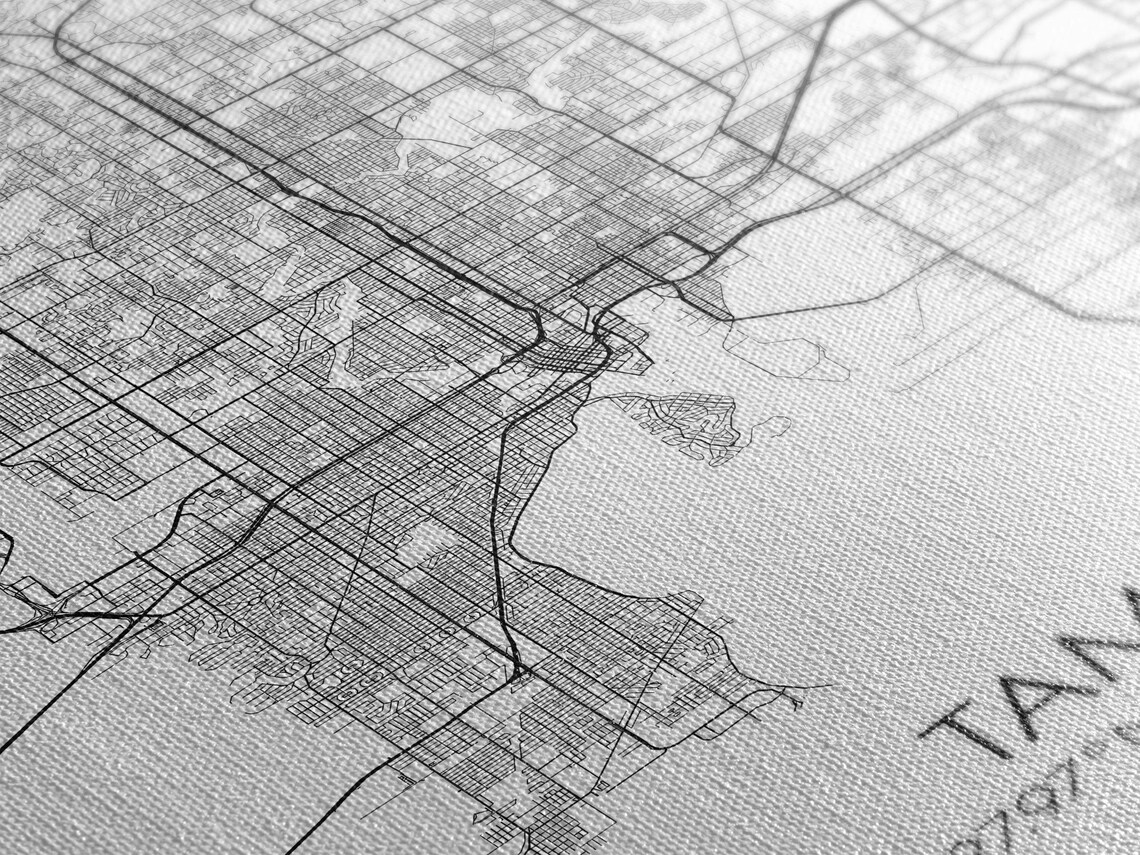 Tampa Street Map Florida Map City Map Print Modern Wall - Etsy