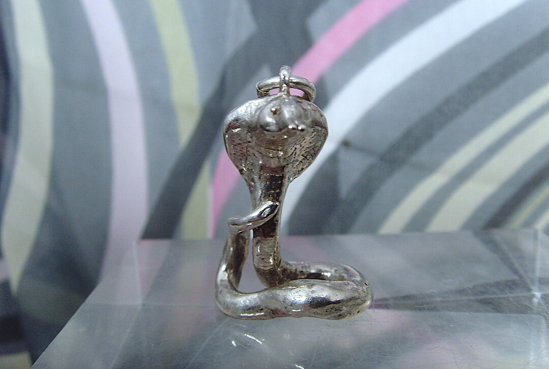 Vintage 1970s Large Heavy 14.3 Grams Snake Silver Charm - Etsy