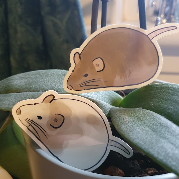 Rat Stickers - Etsy