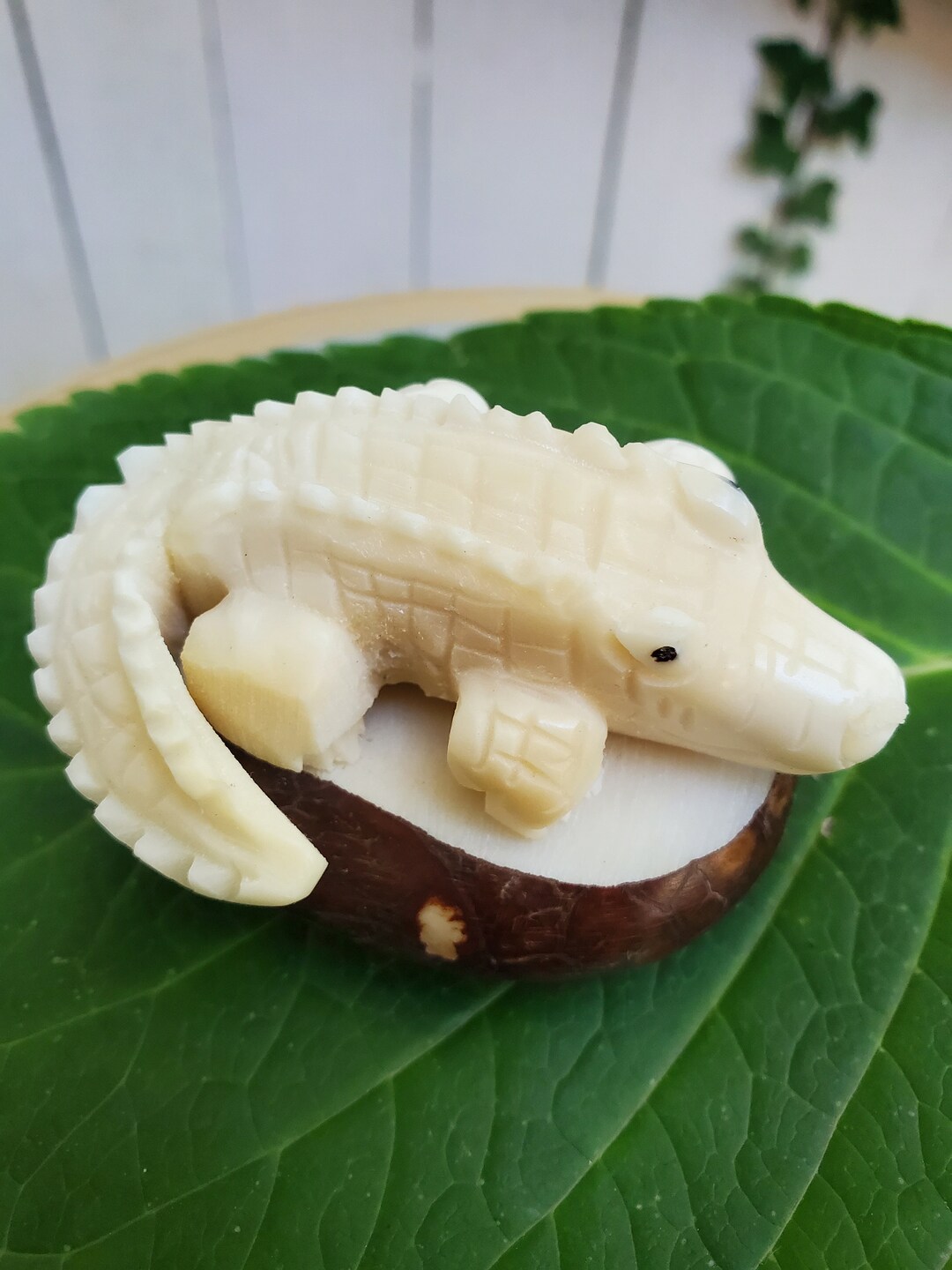 Alligator in Relief Tagua Figurine Carving - Etsy