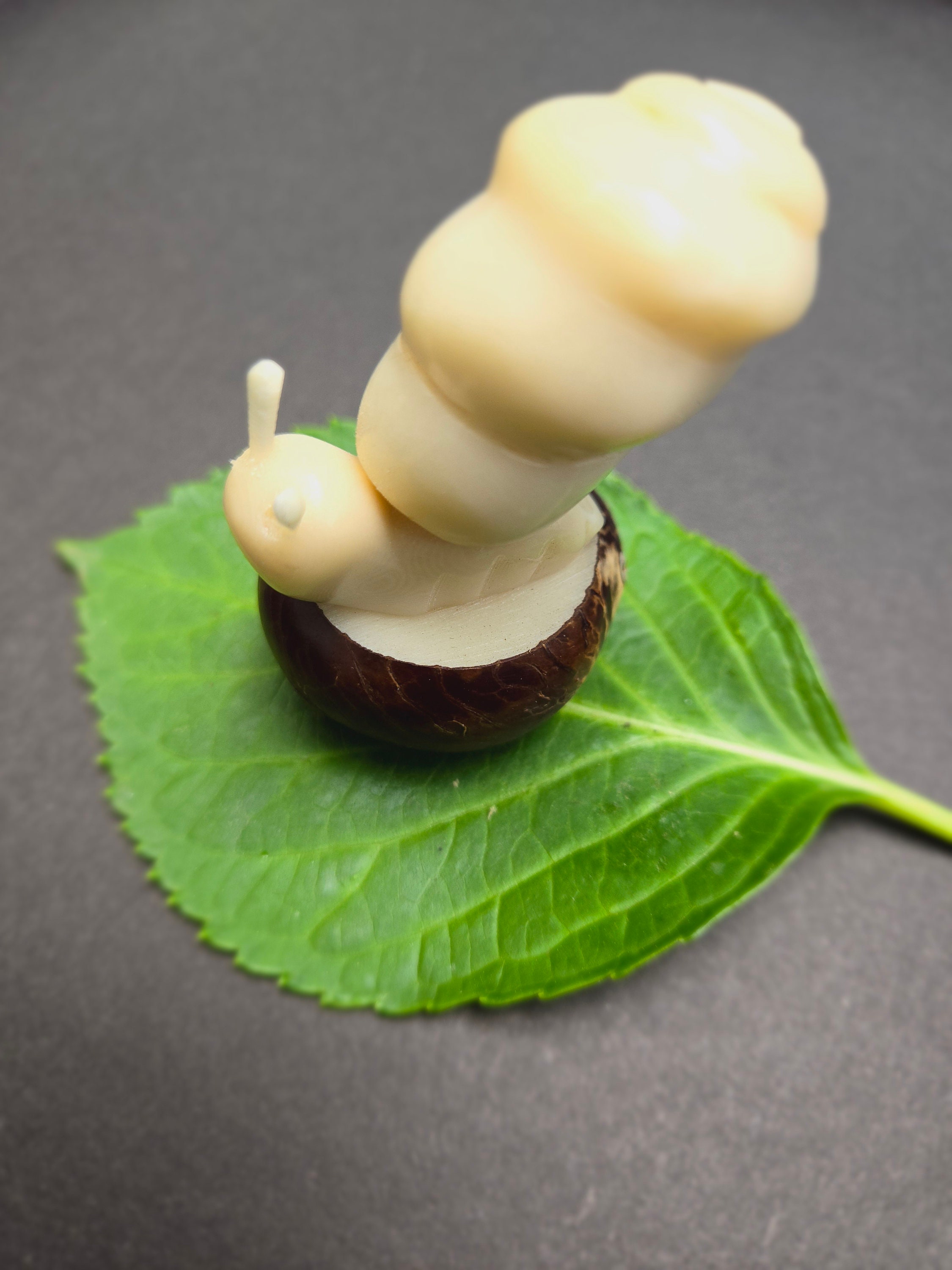 Abstract Snail Carving From Tagua Nut, Ecuador - Etsy