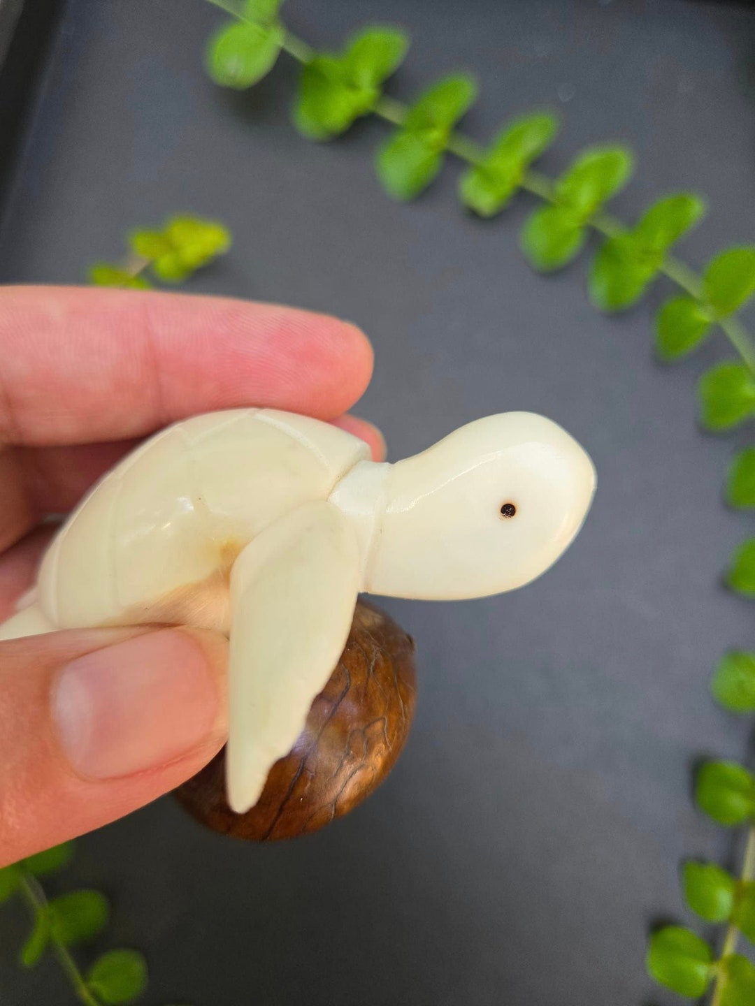 White Sea Turtle Natural Tagua Carvings, Sea Turtle Decor, Turtle ...