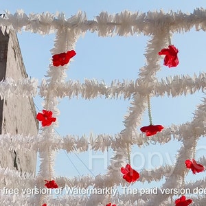 Indian Wedding Flower Canopy: Bridal Chadar & Elegant Décor, Phoolon Ki ...