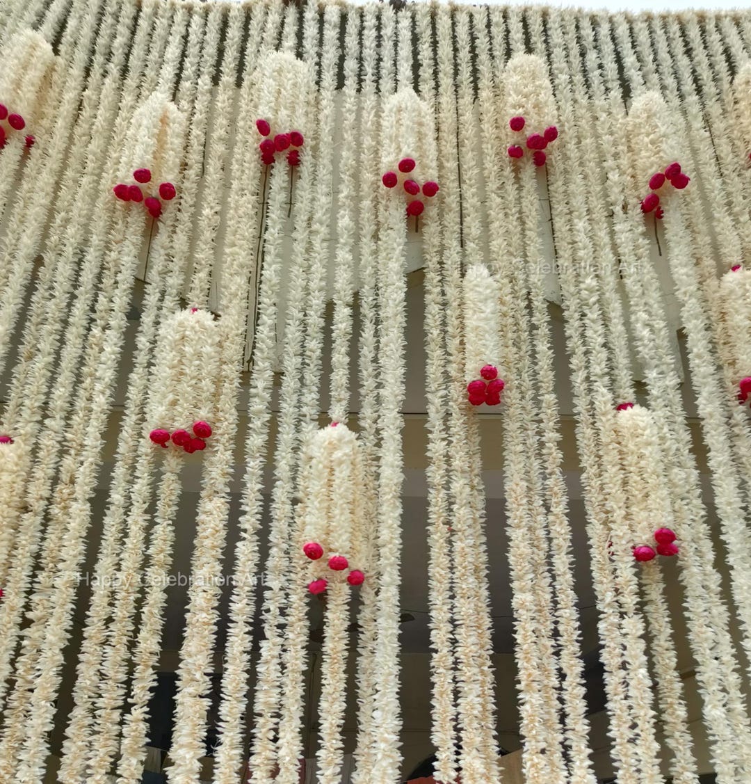 Authentic Jasmine With Peony Flower Backdrop, Nikha Flower,south Indian ...