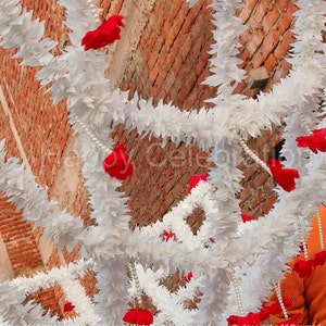 Indian Wedding Flower Canopy: Bridal Chadar & Elegant Décor, Phoolon Ki ...