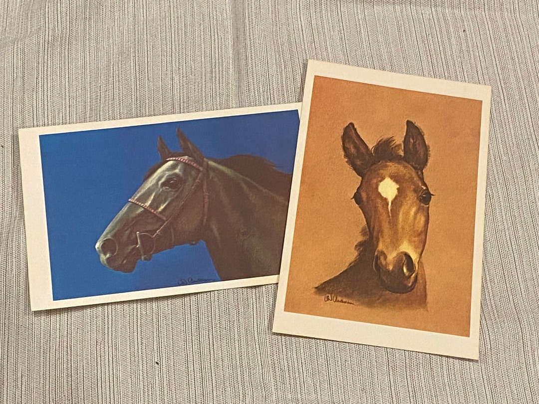2 Vintage C.W. Anderson Postcards/ Look of a Thoroughbred/ Grey ...