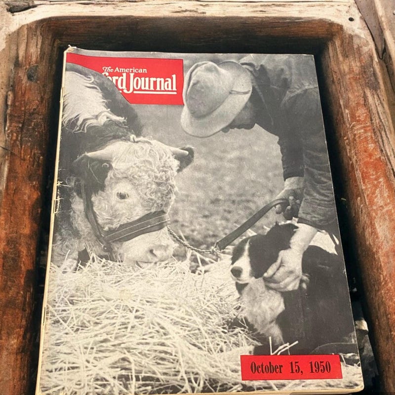 Hereford - Etsy