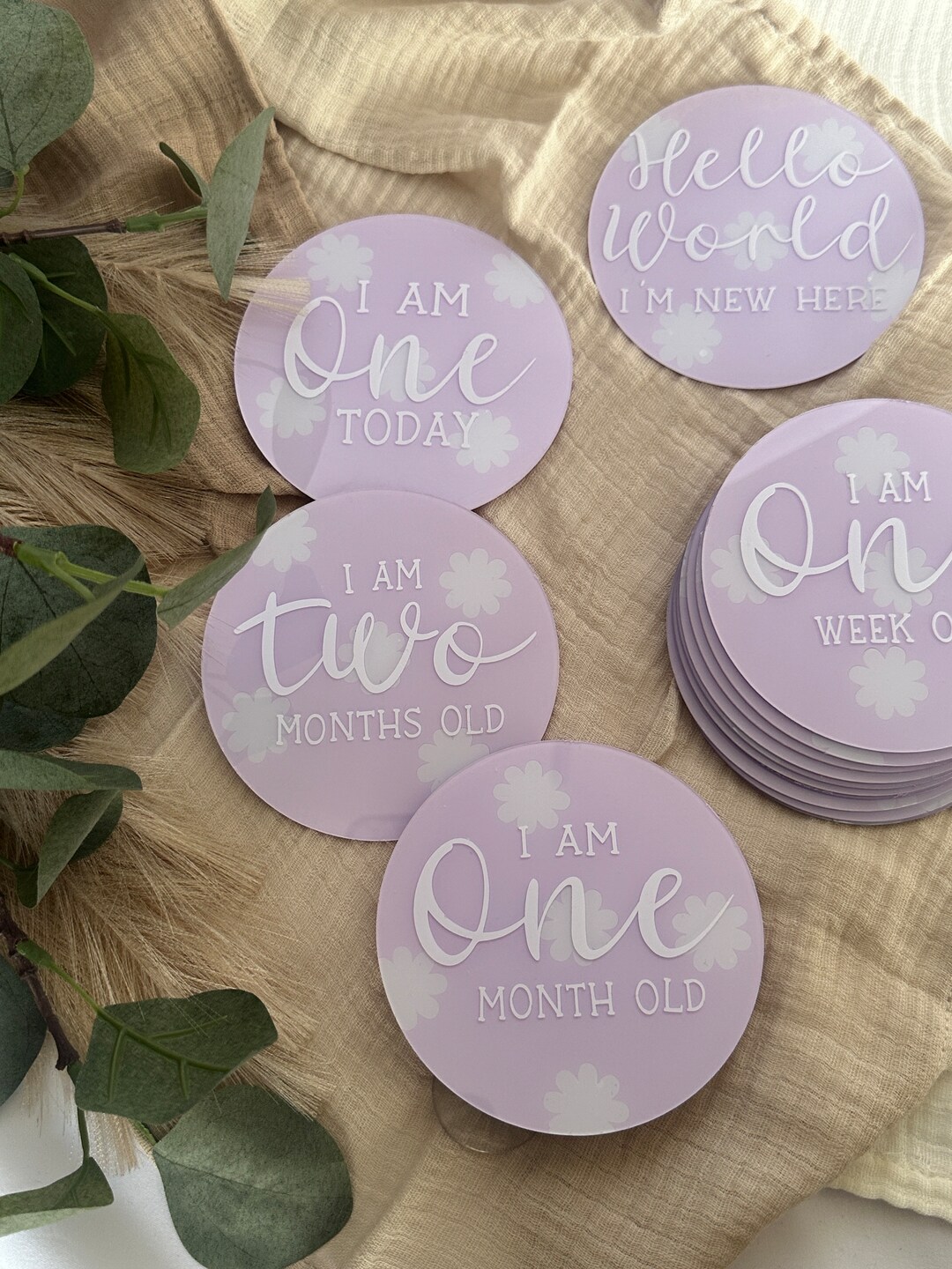 Circular Daisy Acrylic Milestones Photo Props Announcement Nursey ...