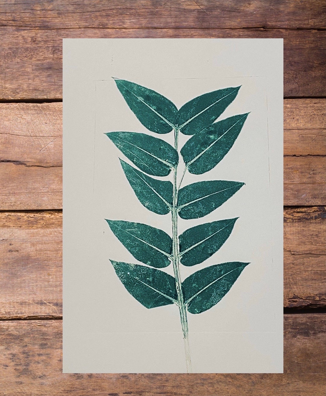 Original Eucalyptus Leaves Monoprint - Etsy