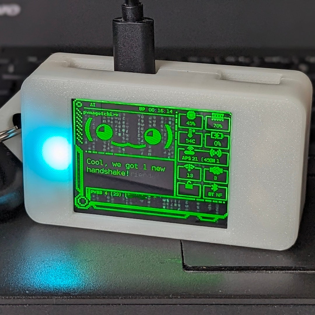 Buy Fancygotchi Pwnagotchi, Plug and Play AI Powered Wifi Hacking Device, Educational Cyber ...