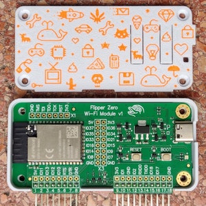 Flipper Zero Pixel Art Wifi Dev Board Case + FREE Pin Protector - Etsy