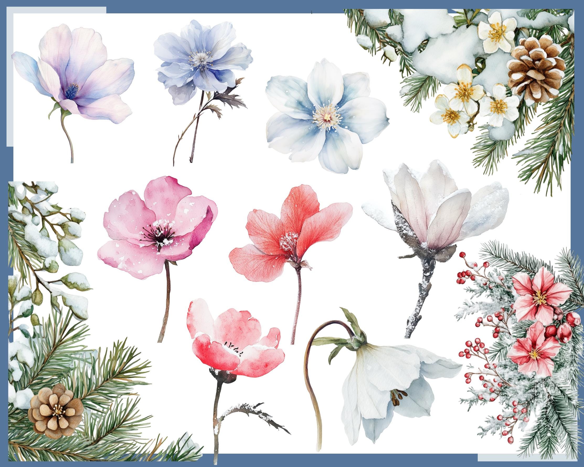 Winter Flowers Clipart: Watercolor Floral PNG Bundle (110 Files) - Etsy