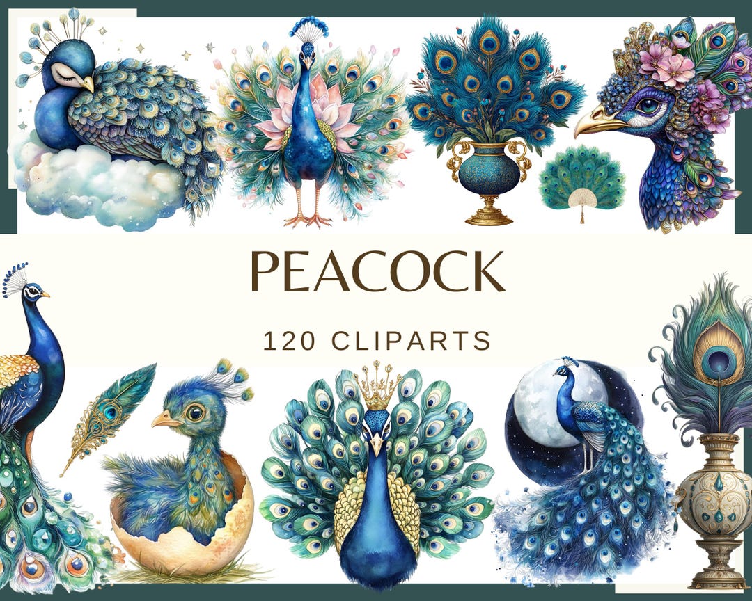 Watercolor Peacock Clipart: Elegant Bird Illustrations (digital ...