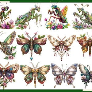 Faberge Insects Clipart: Watercolor Bugs, Butterfly, Beetle (100 PNG ...