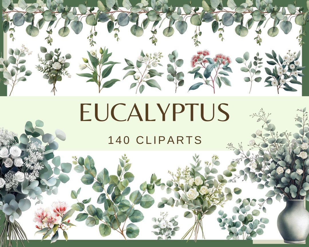 Eucalyptus Clipart Bundle: Watercolor Greenery, Floral PNG (140 Files ...