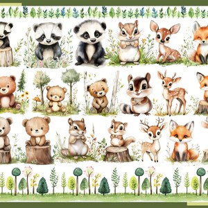 Summer Woodland Clipart: 250 Forest Animal Graphics (digital Download ...