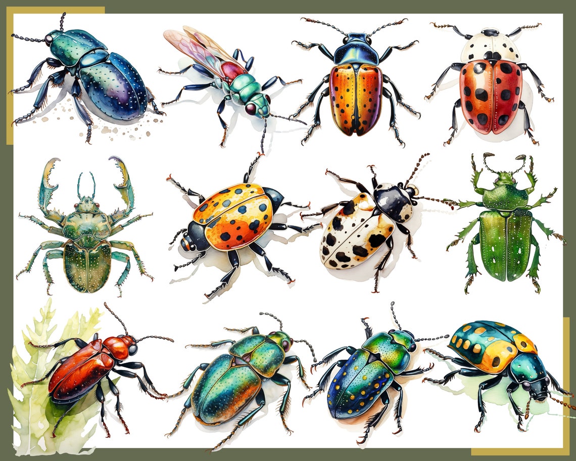 Watercolor Insect Clipart: 100 Bug Graphics (PNG) - Etsy