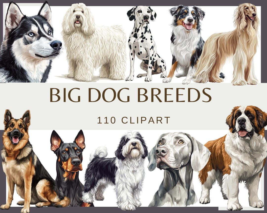 Big Dog Breeds Clipart: 110 PNG Graphics (digital Download) - Etsy