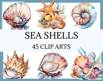 Shell Line Art Digital Clipart Shell Line Drawing Shell Svg - Etsy