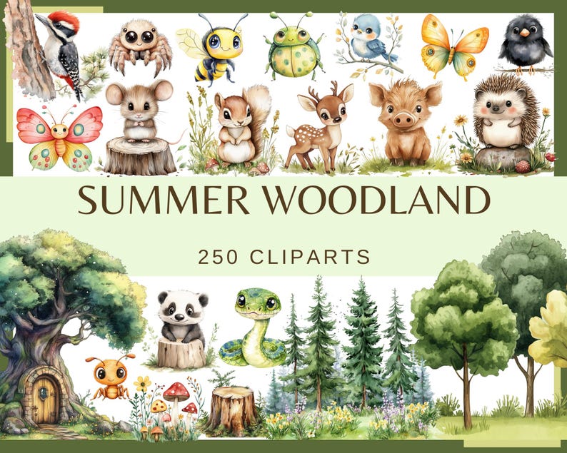 Summer Woodland Clipart: 250 Forest Animal Graphics (digital Download ...