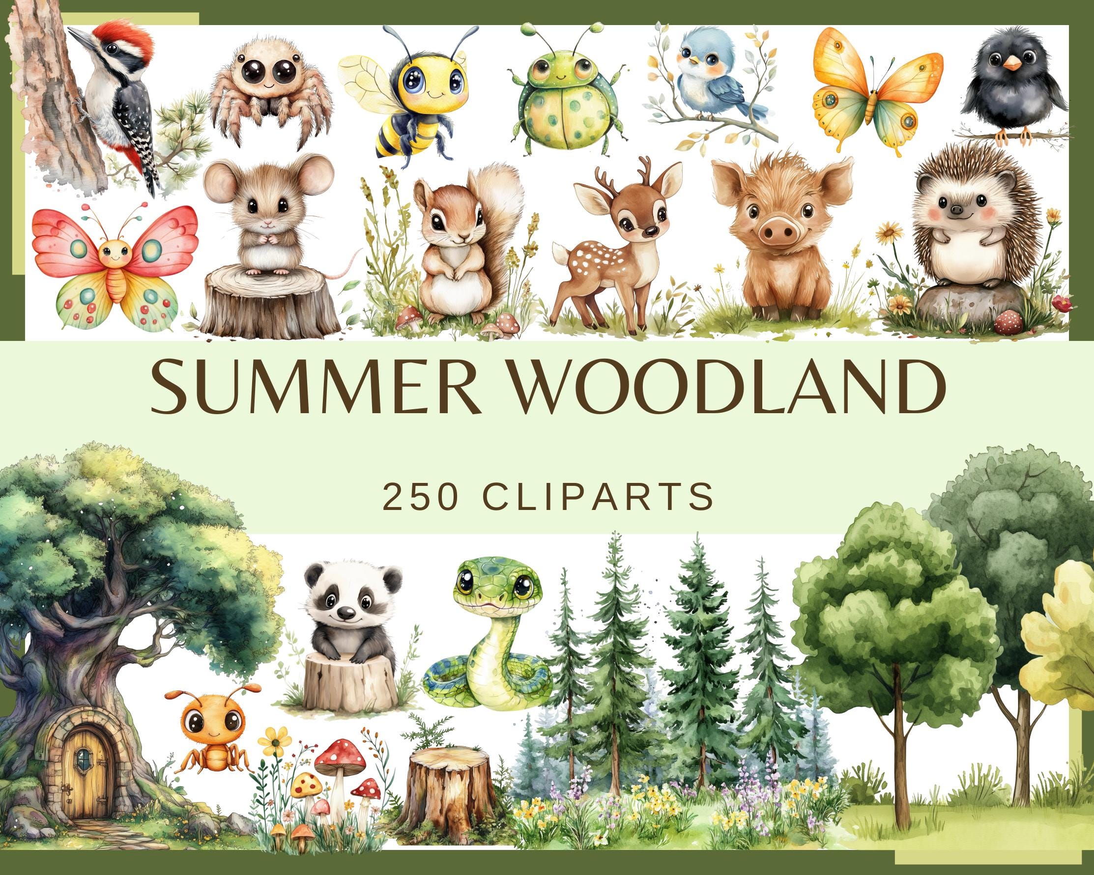 Summer Woodland Clipart: 250 Forest Animal Graphics (digital Download ...