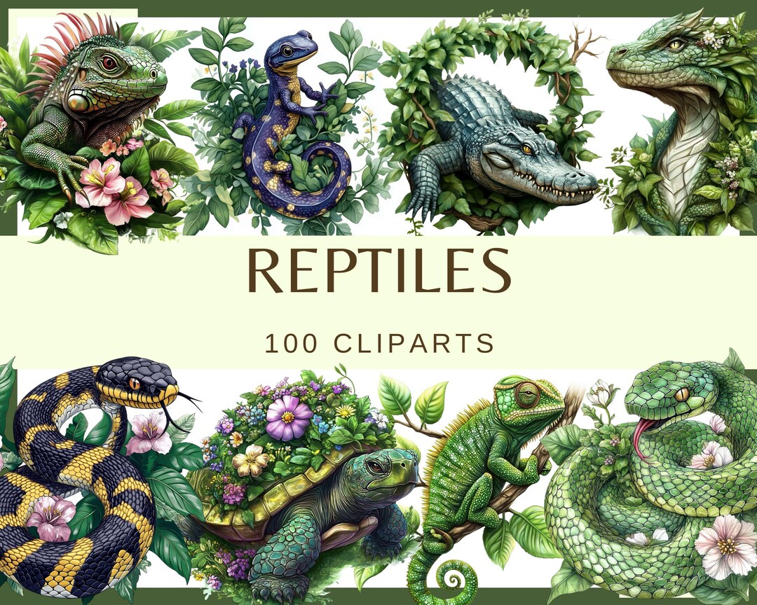 Reptiles Clipart: 100 PNG Illustrations (digital Download) - Etsy
